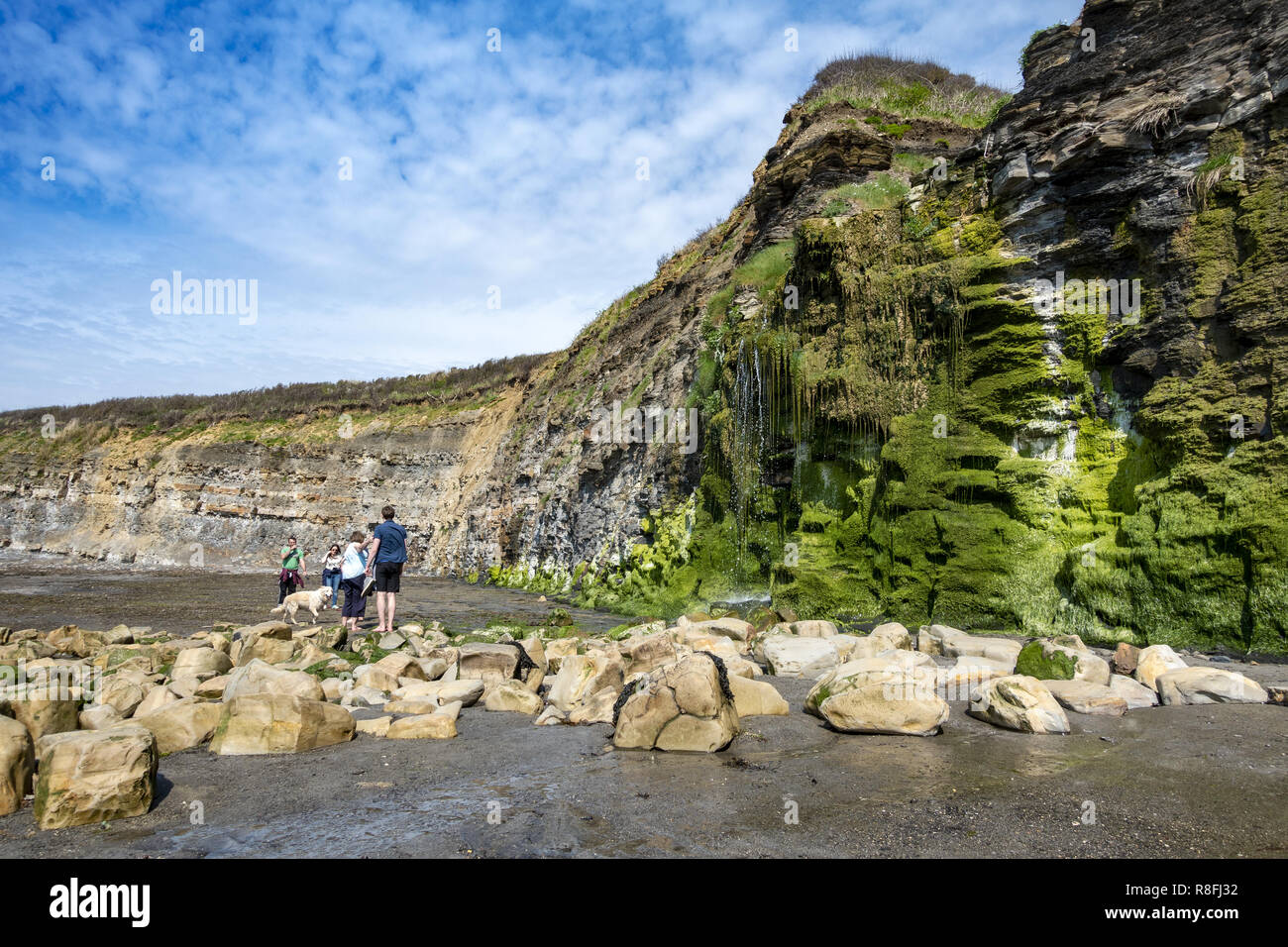 Exposed rockpools at Kimmeridge Bay on the Jurrasic Coast in Dorset ...