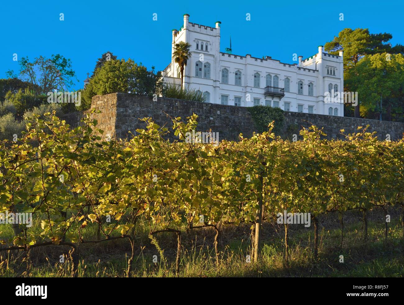 villa russiz, capriva del friuli, friuli venezia giulia, italia Stock ...