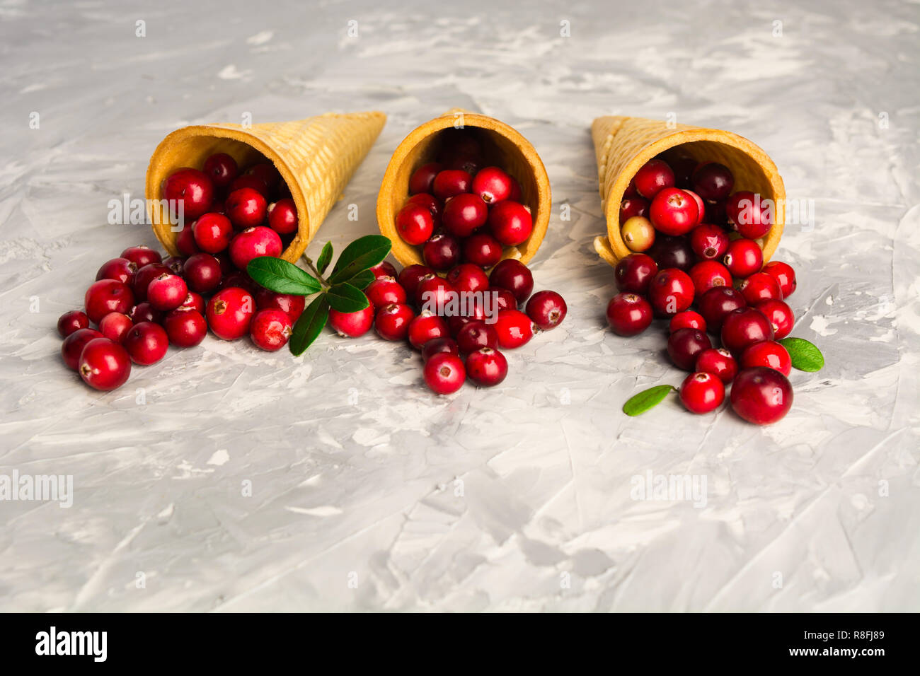 Three waffle cones with fresh red cranberry over grey background Stock ...