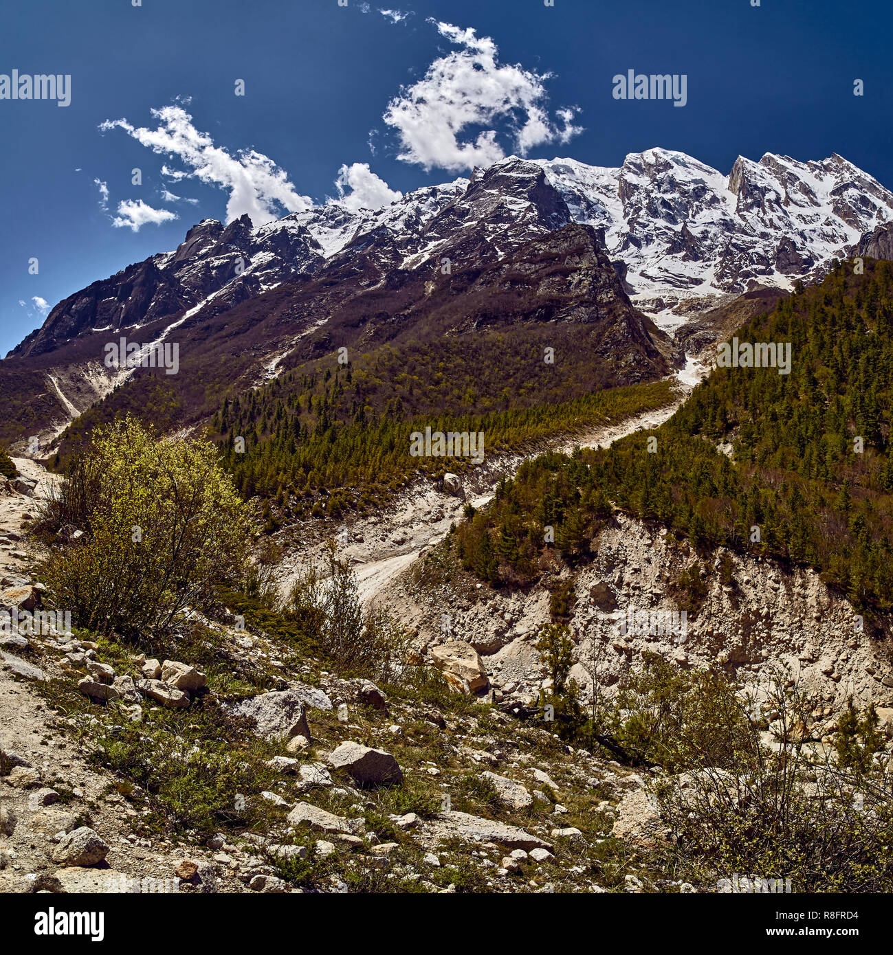 Himalayas mountain landscape. Panoramic view of Himalaya peaks. India ...