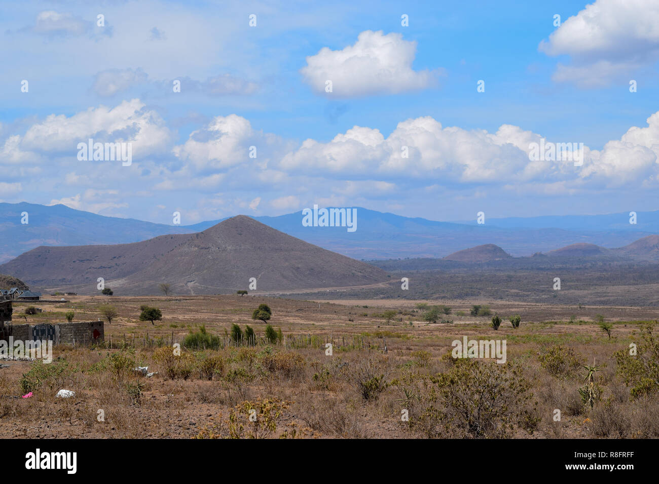 Sleeping warrior in Naivasha, KENYA Stock Photo - Alamy