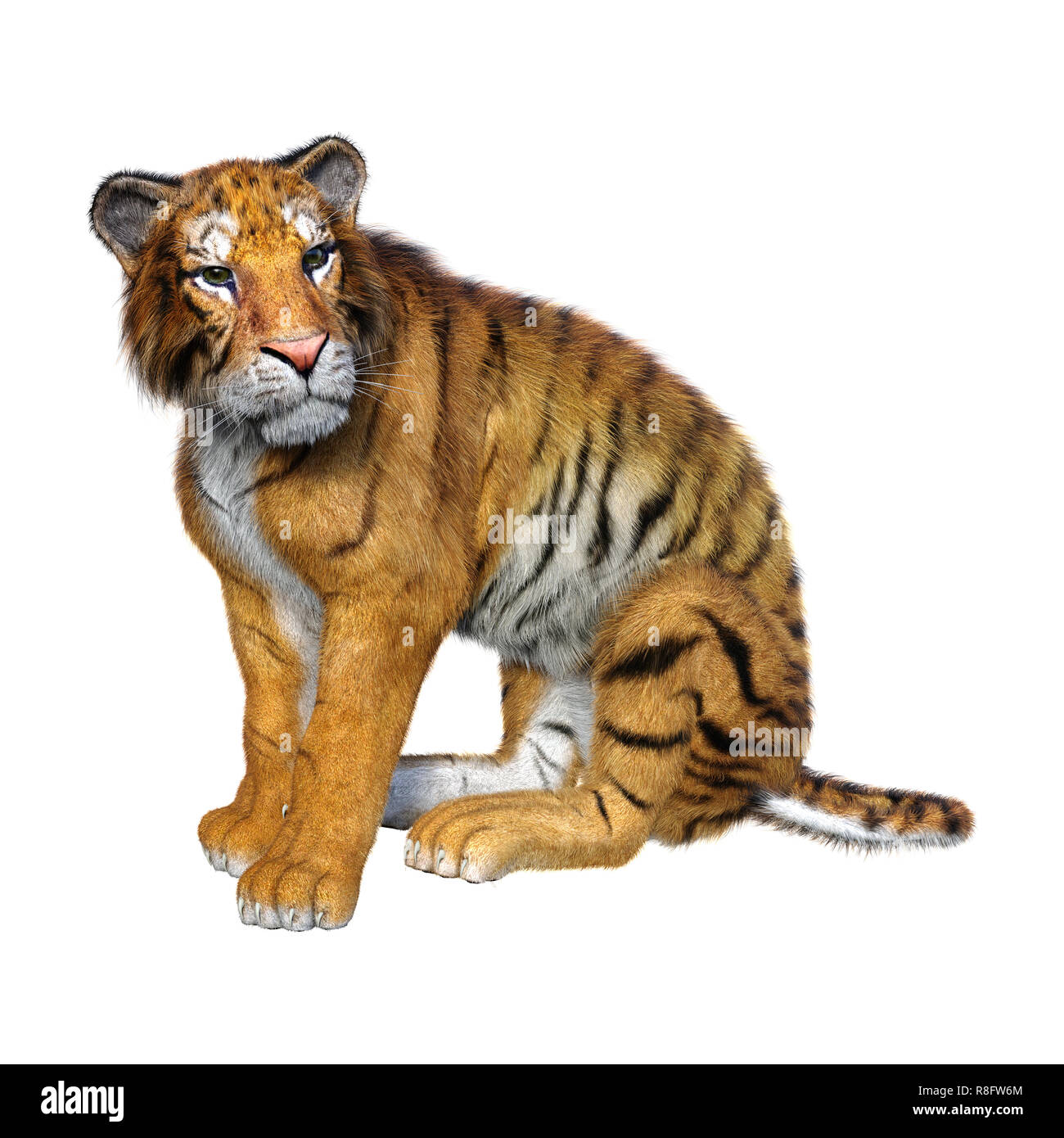3D rendering of a big cat tiger isolated on white background Stock ...