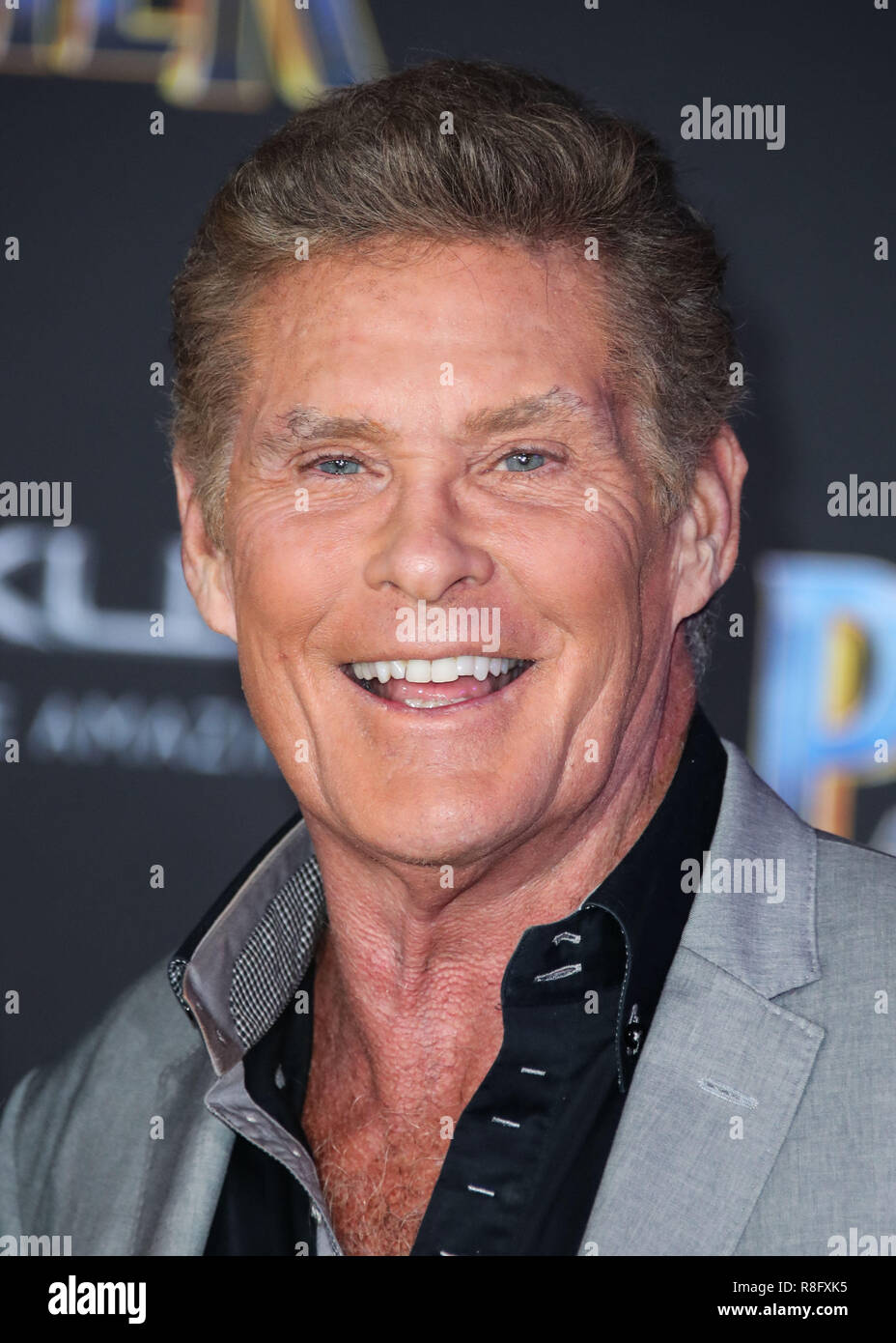 HOLLYWOOD, LOS ANGELES, CA, USA - JANUARY 29: David Hasselhoff at the ...