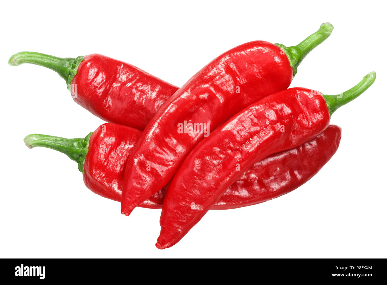 Aleppo pepper (Capsicum annuum), fresh overripe whole pods, top view ...