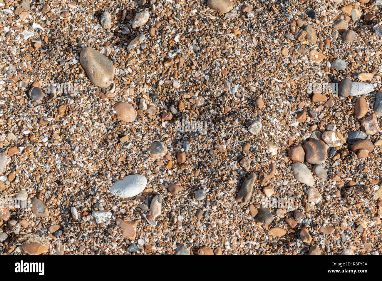 mix of large and small pebbles on a beach Stock Photo - Alamy