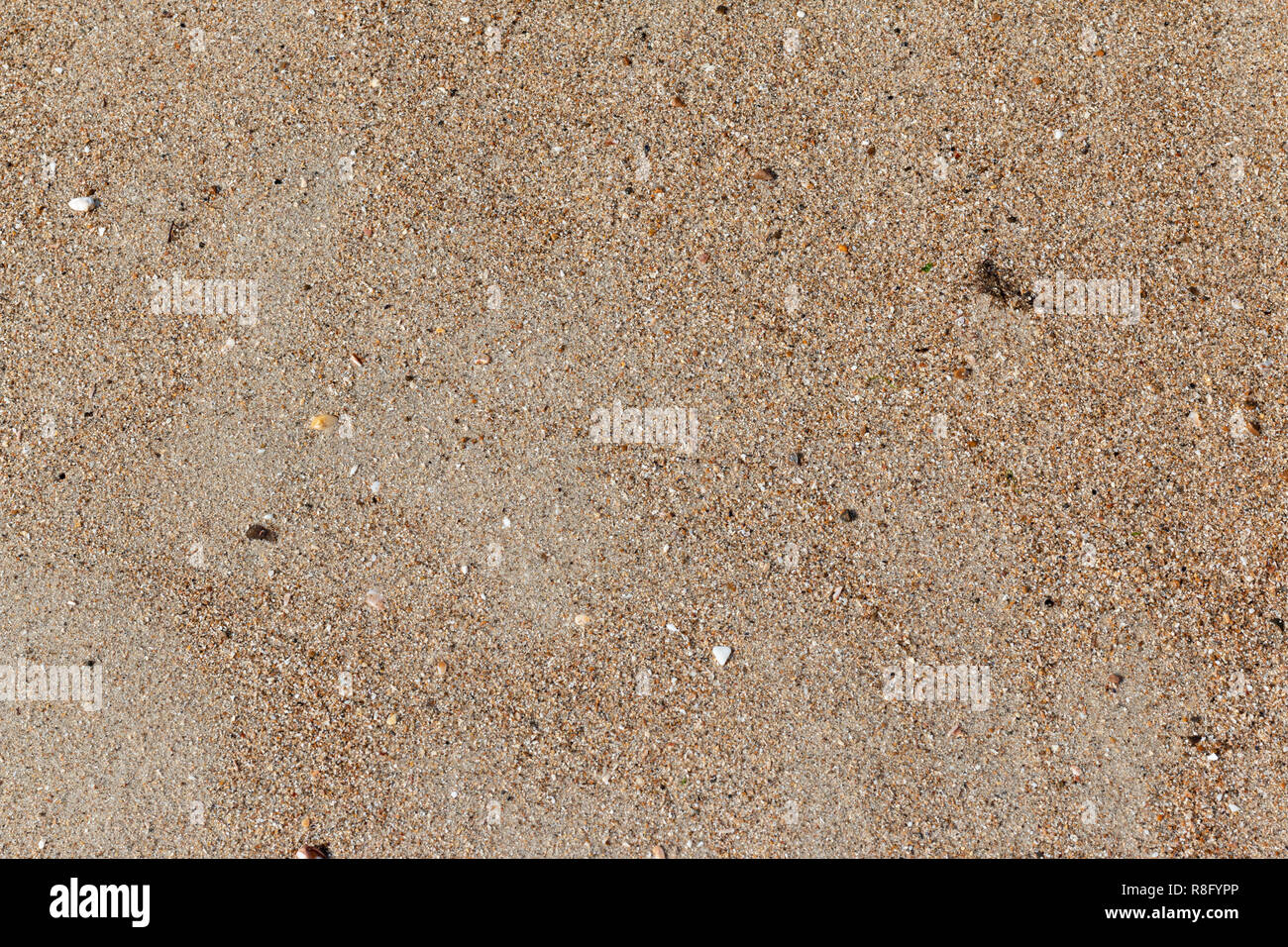 Sand grains details hi-res stock photography and images - Alamy