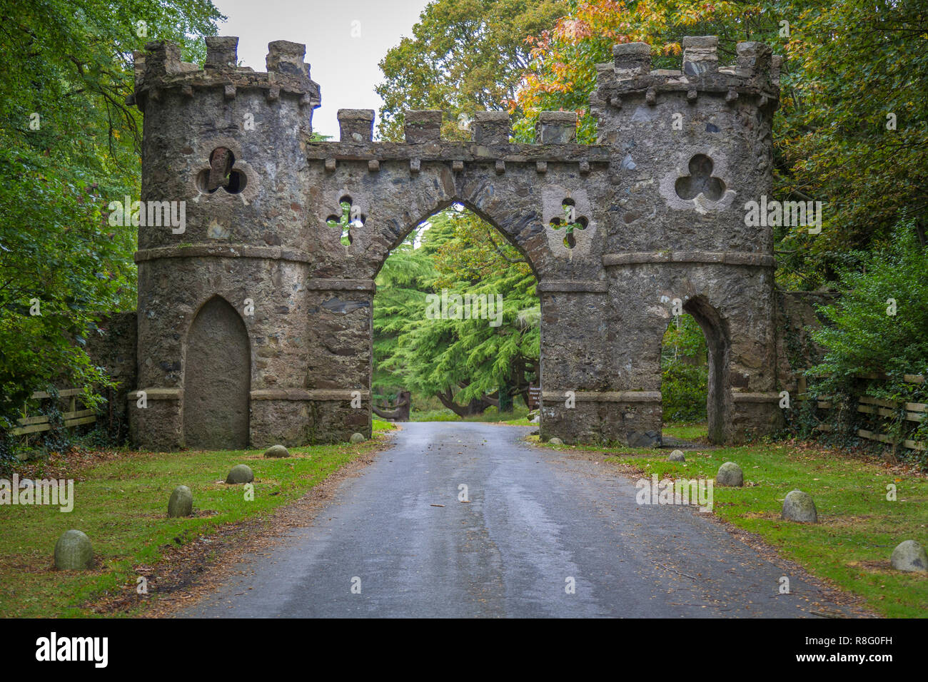 Walking tour in the Tollymore Forrest Park, Newcastle, Co Down ...