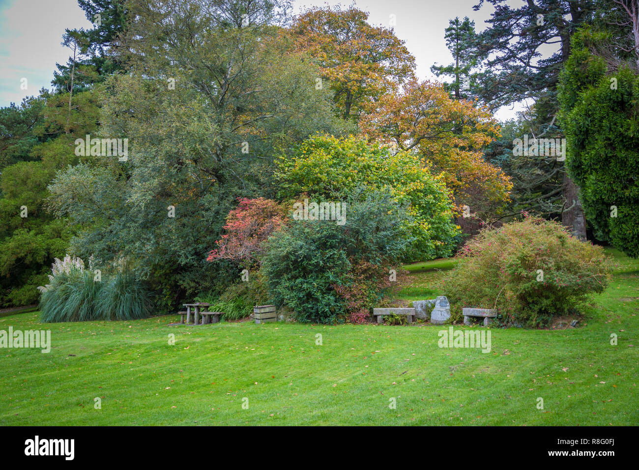 Walking tour in the Tollymore Forrest Park, Newcastle, Co Down ...