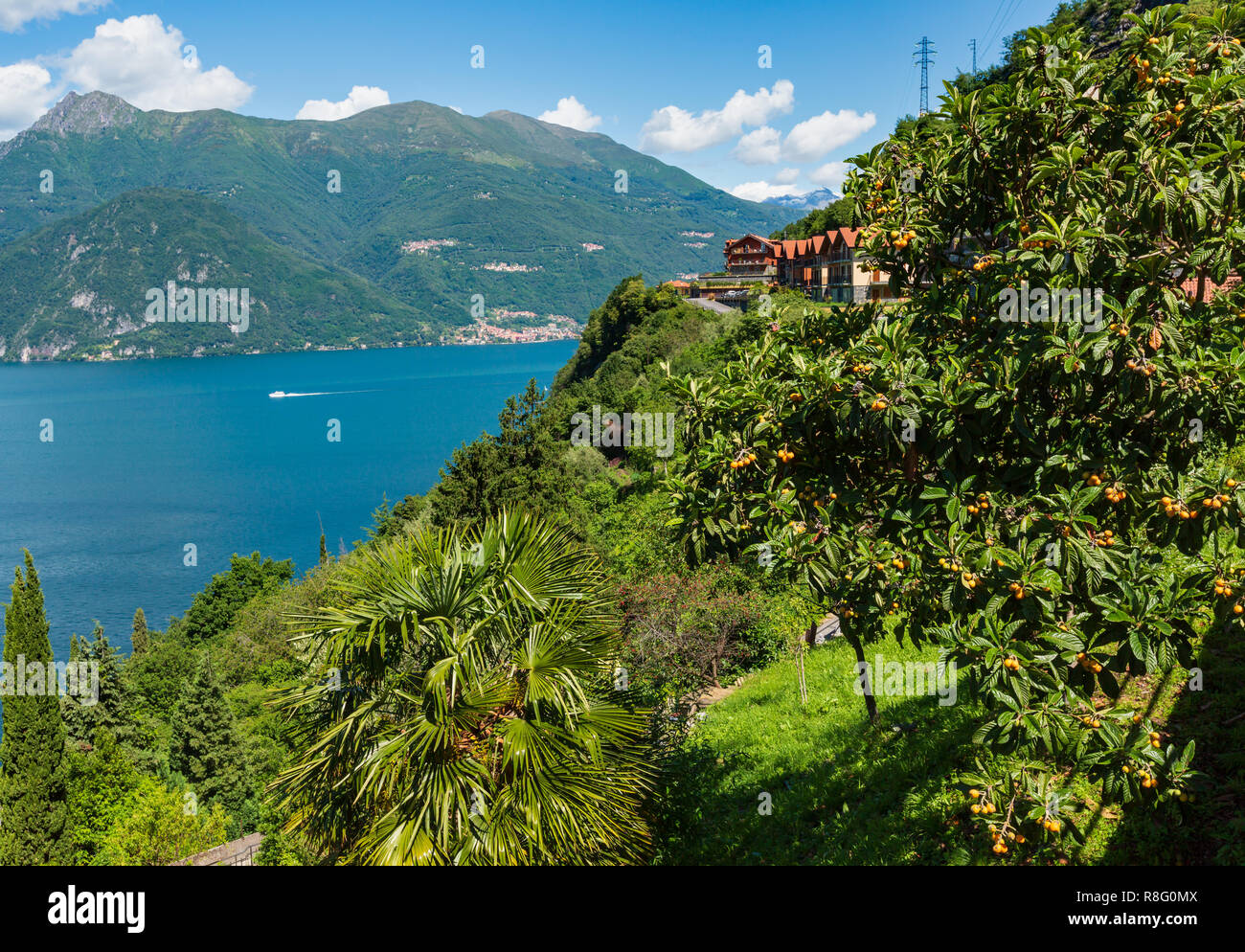 Alpine Lake Como summer view from shore (Italy Stock Photo - Alamy