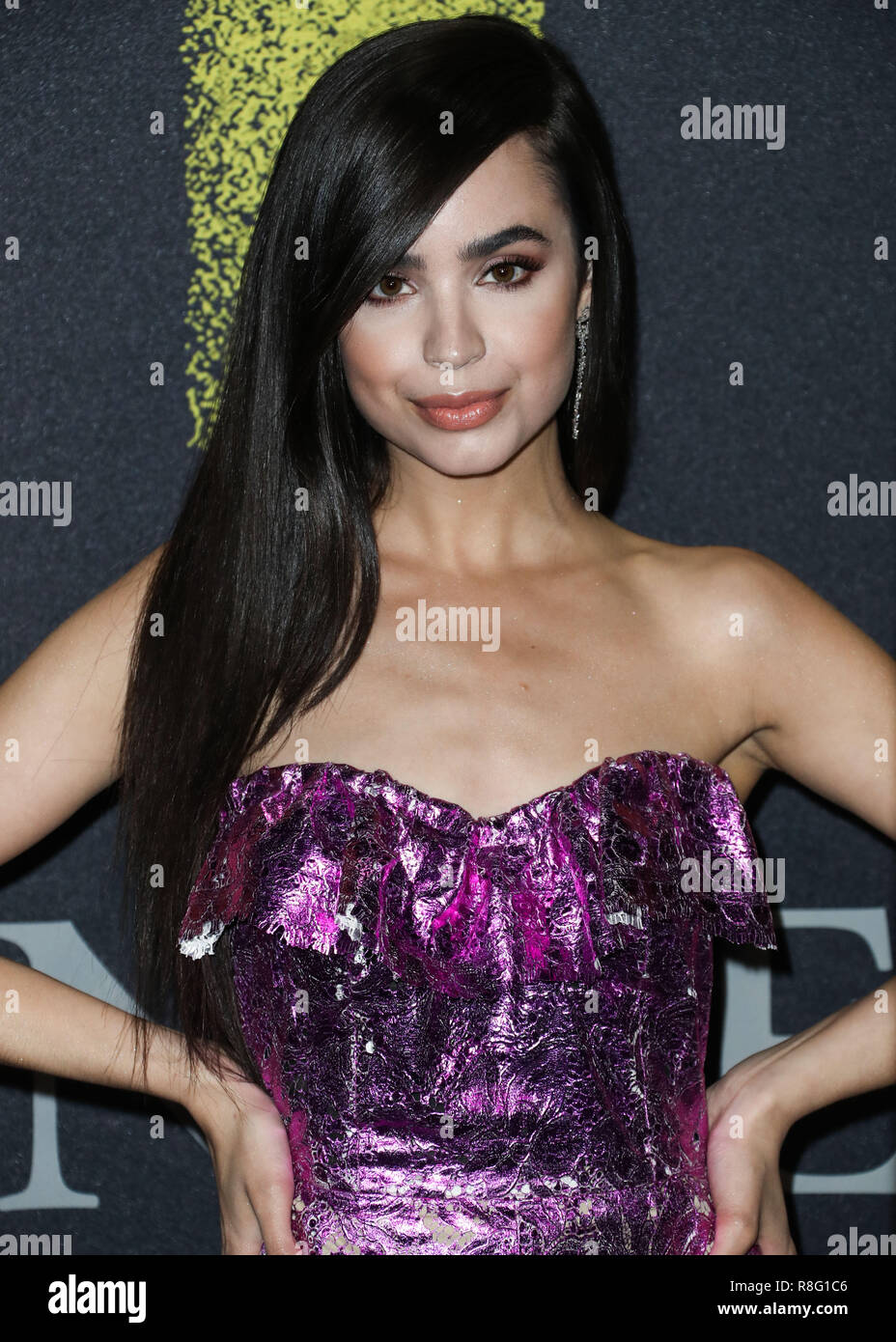 HOLLYWOOD, LOS ANGELES, CA, USA - DECEMBER 12: Sofia Carson at the ...