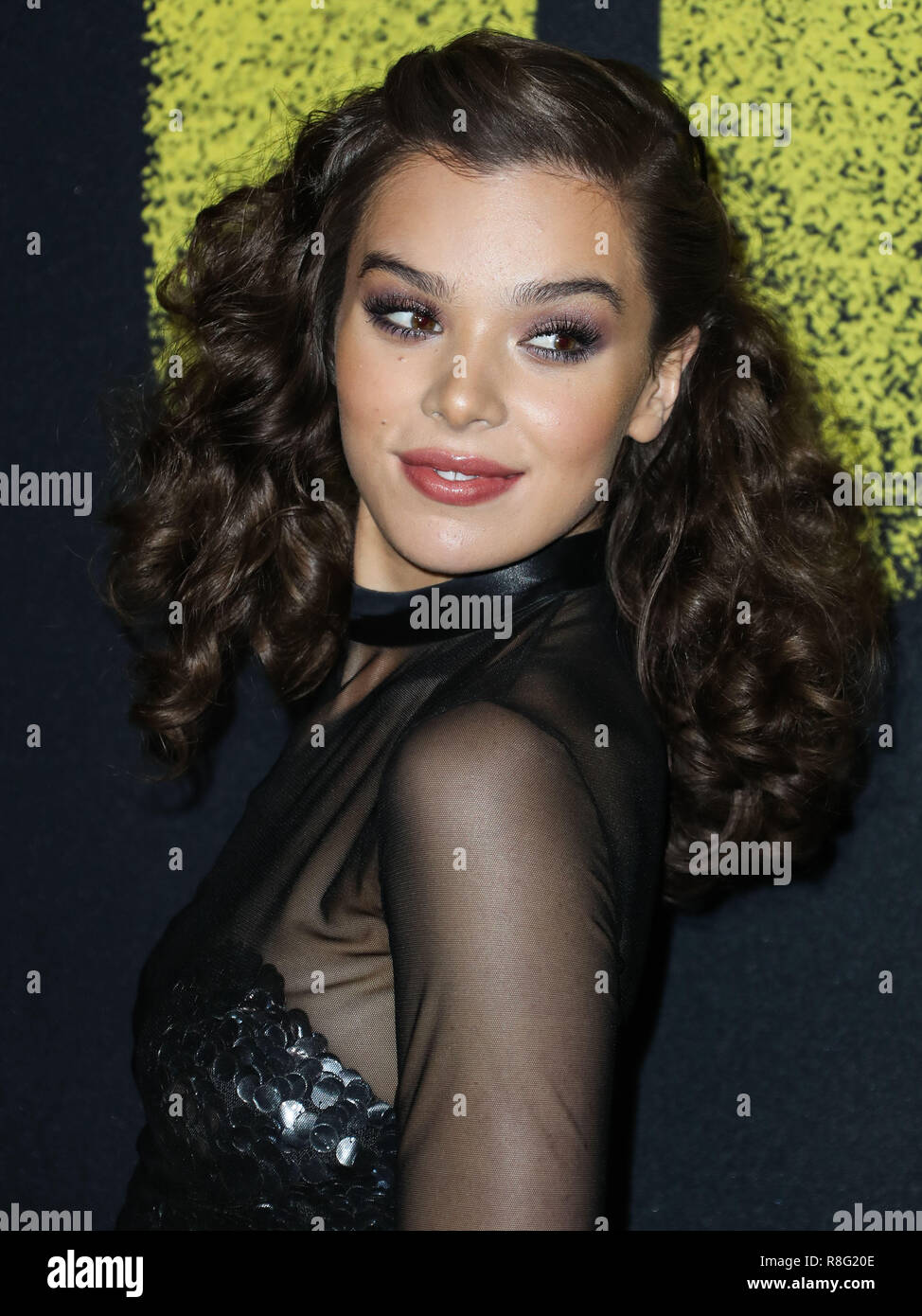 HOLLYWOOD, LOS ANGELES, CA, USA - DECEMBER 12: Actress Hailee Steinfeld ...