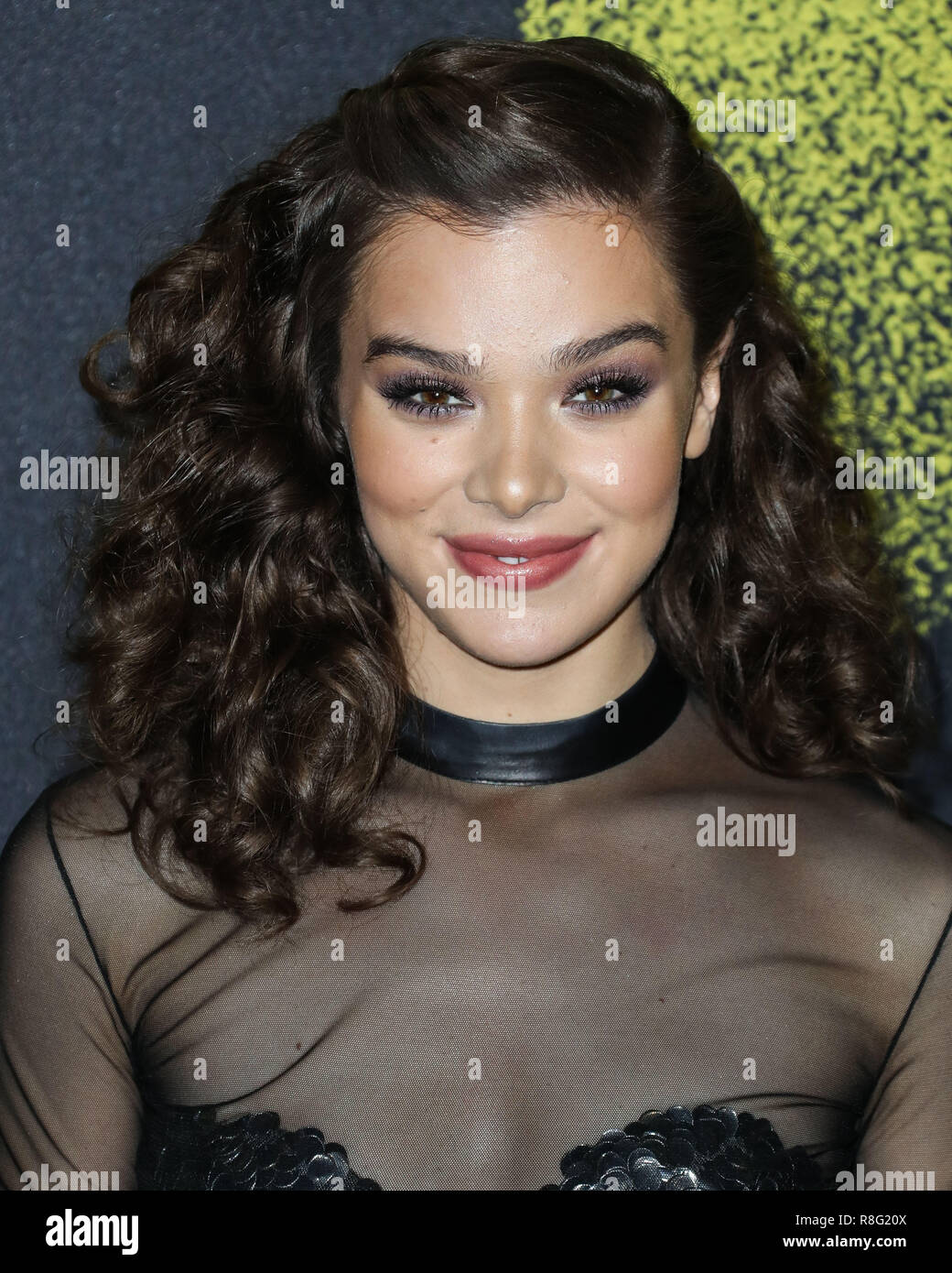 HOLLYWOOD, LOS ANGELES, CA, USA - DECEMBER 12: Actress Hailee Steinfeld ...