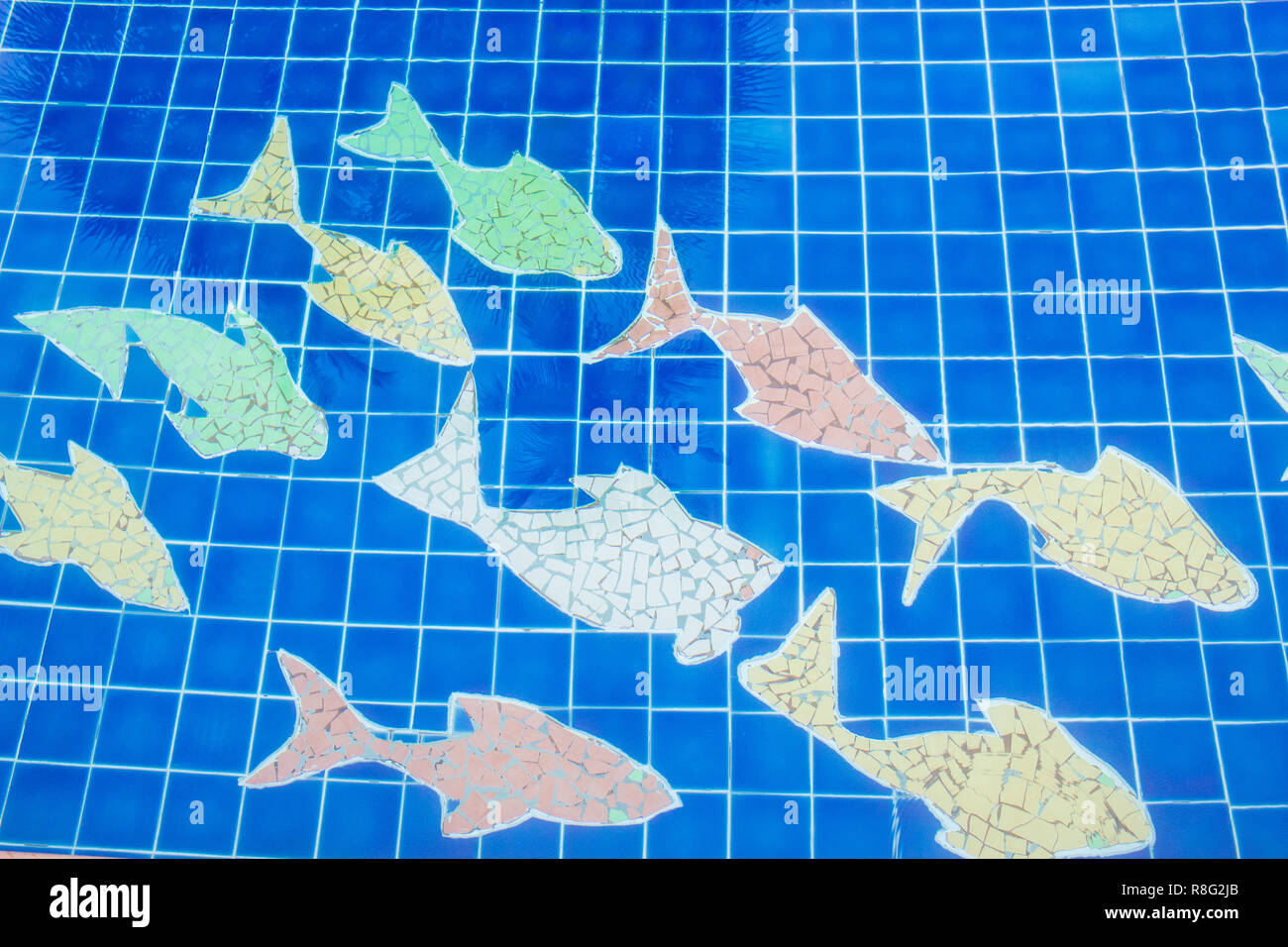 Pool underwater surface hi-res stock photography and images - Alamy