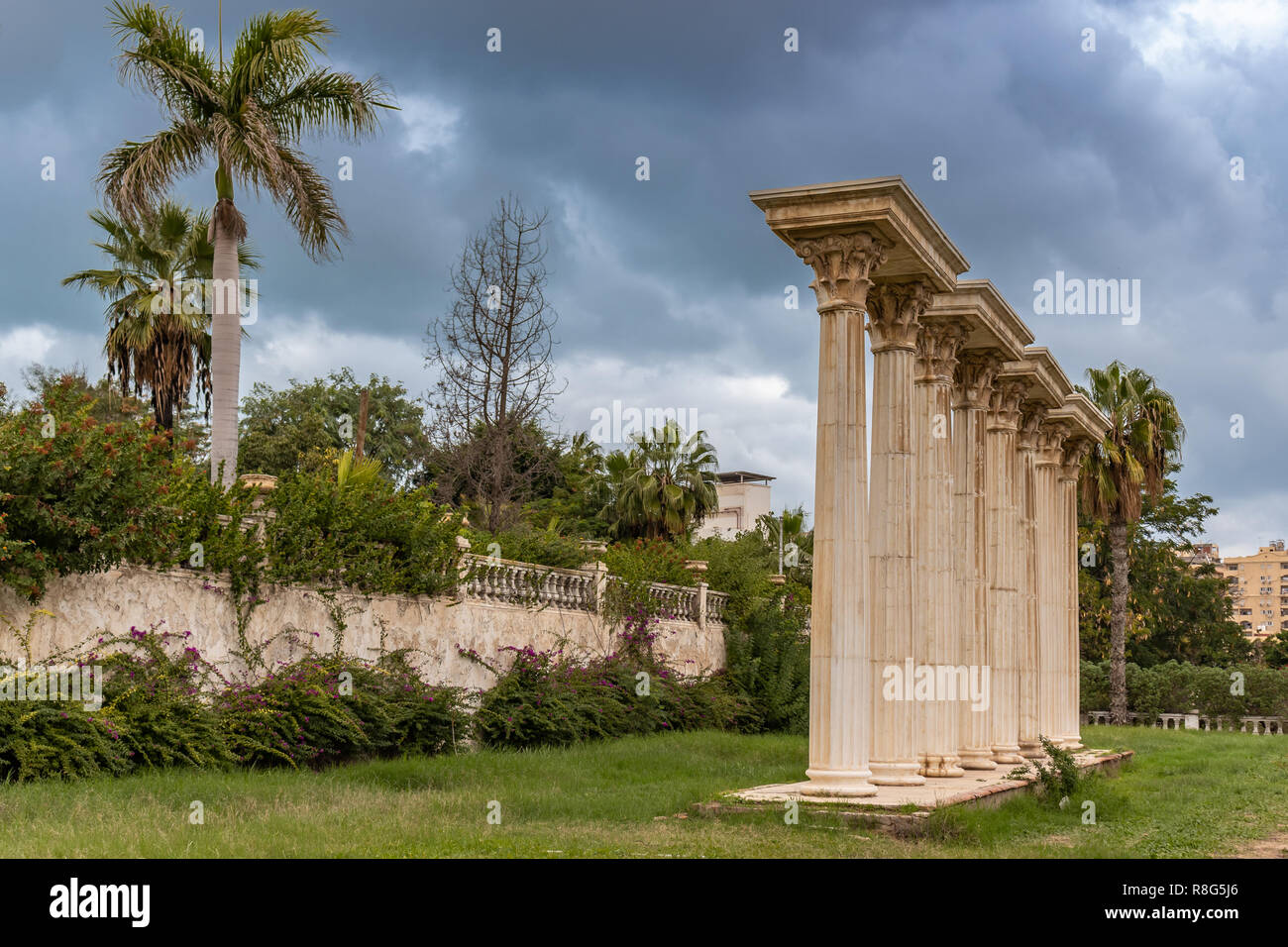 Palm tree in ancient roman hi-res stock photography and images - Alamy