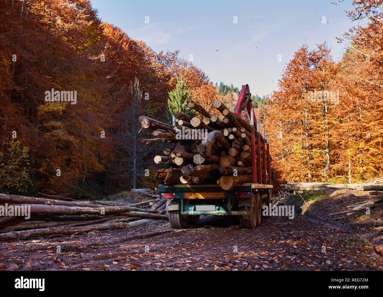 Transporting firewood hi-res stock photography and images - Alamy