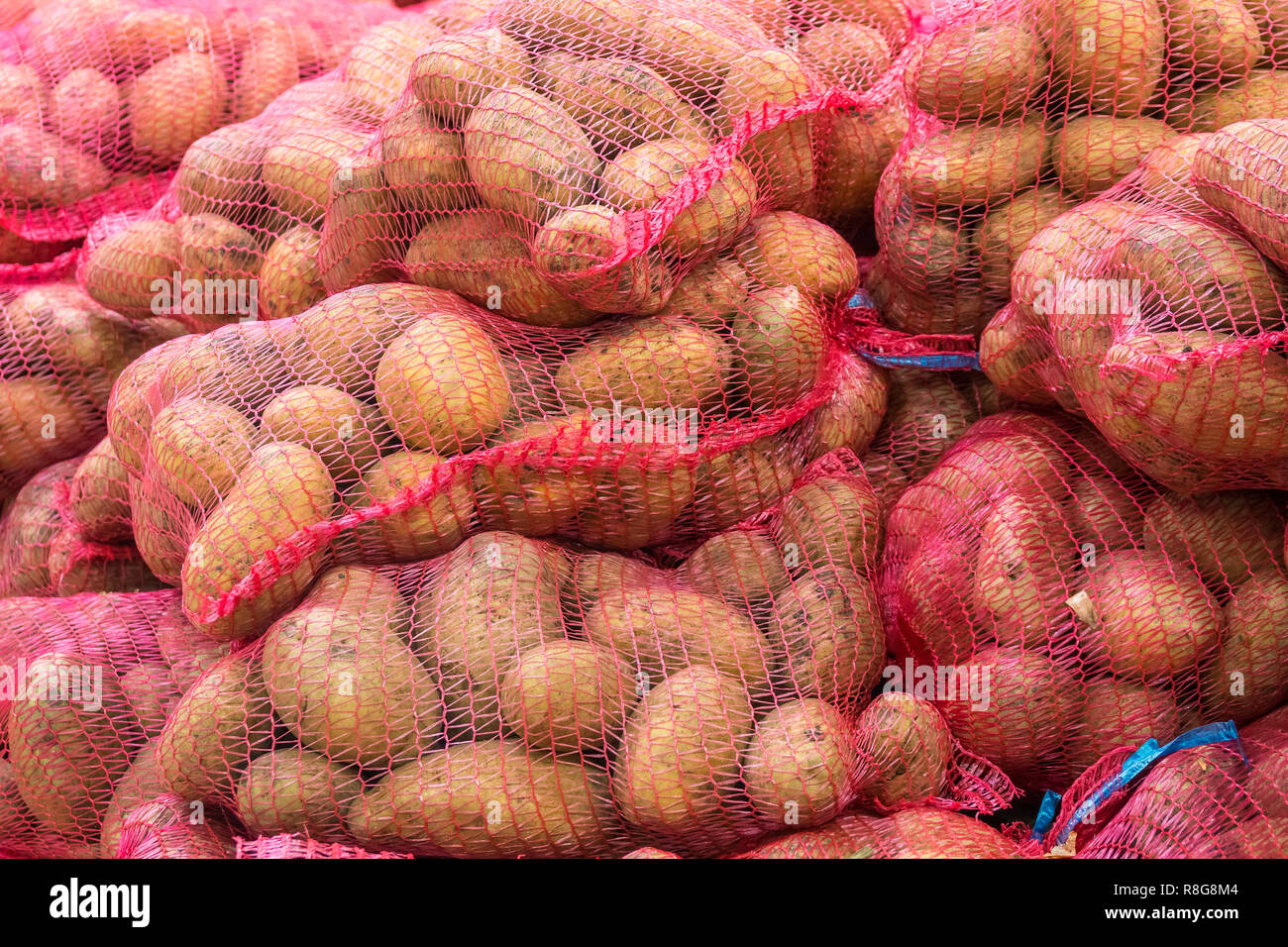 Bags with potatoes. a lot of potatoes, a store or market Stock Photo ...