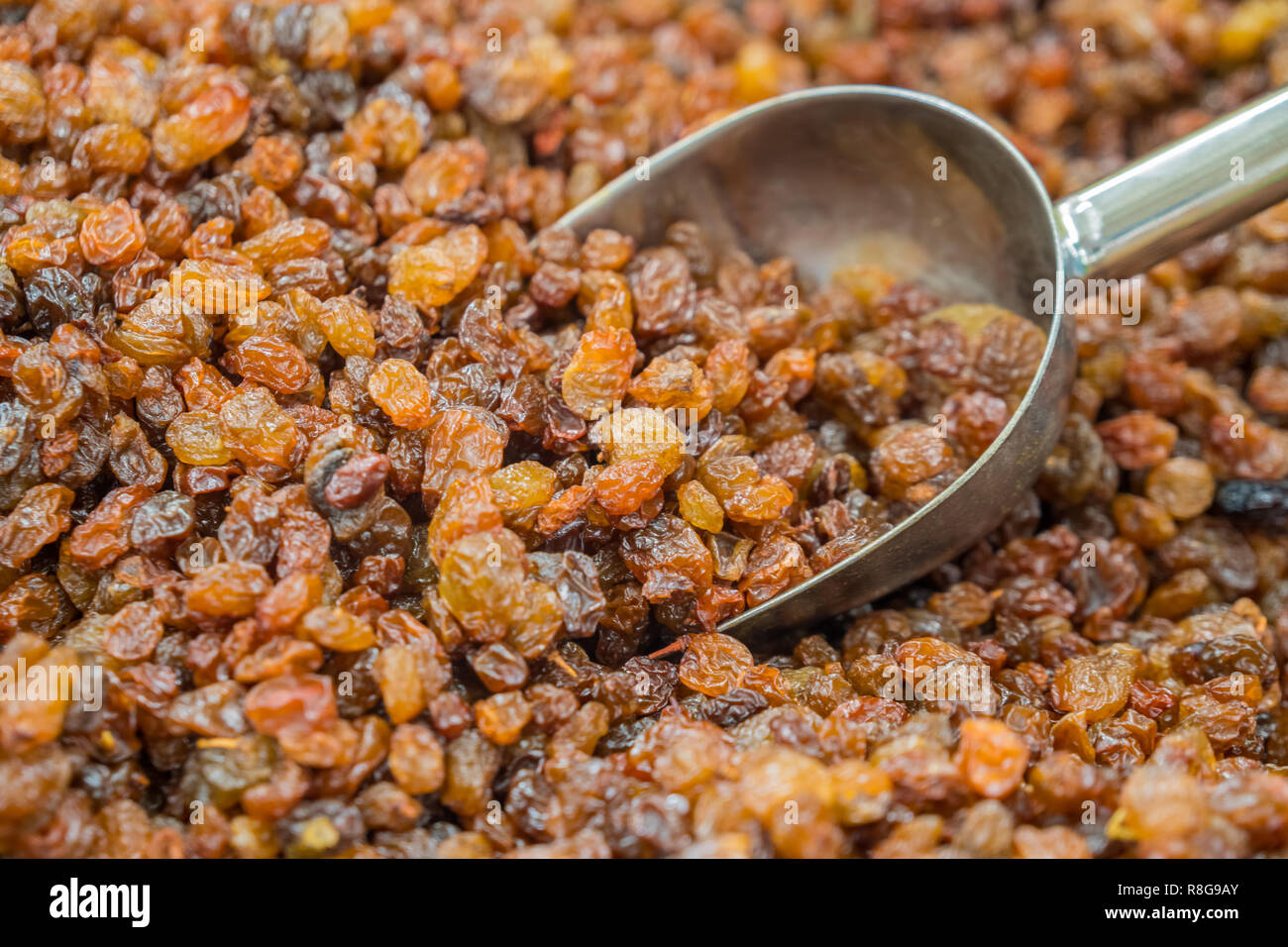 Raisin like hi-res stock photography and images - Alamy