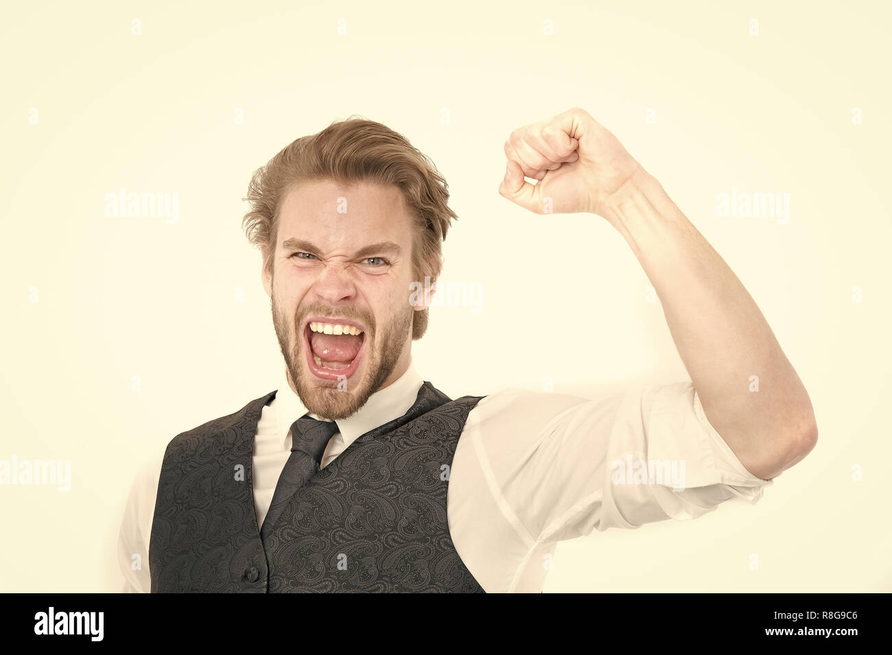 successful bearded man or happy gentleman in waistcoat and tie isolated ...