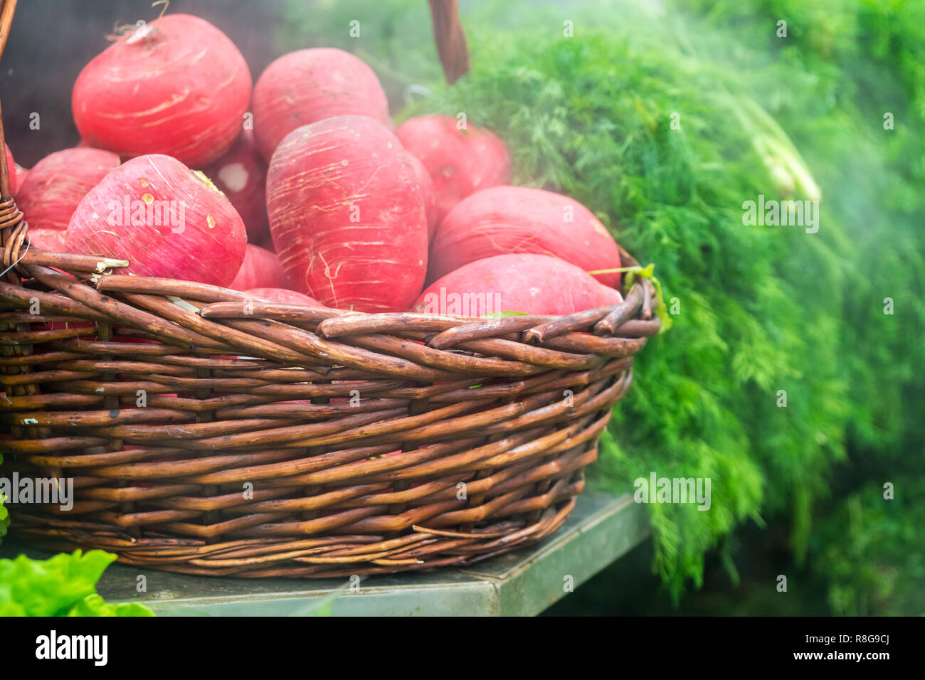 fresh radish in wicker baskets on the counter of market Stock Photo - Alamy