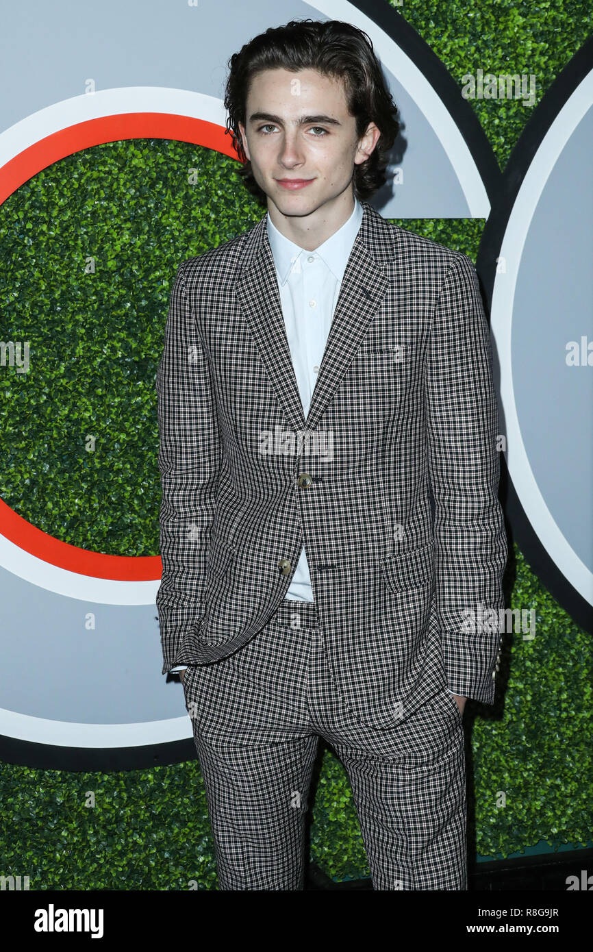 WEST HOLLYWOOD, LOS ANGELES, CA, USA - DECEMBER 07: Timothee Chalamet ...