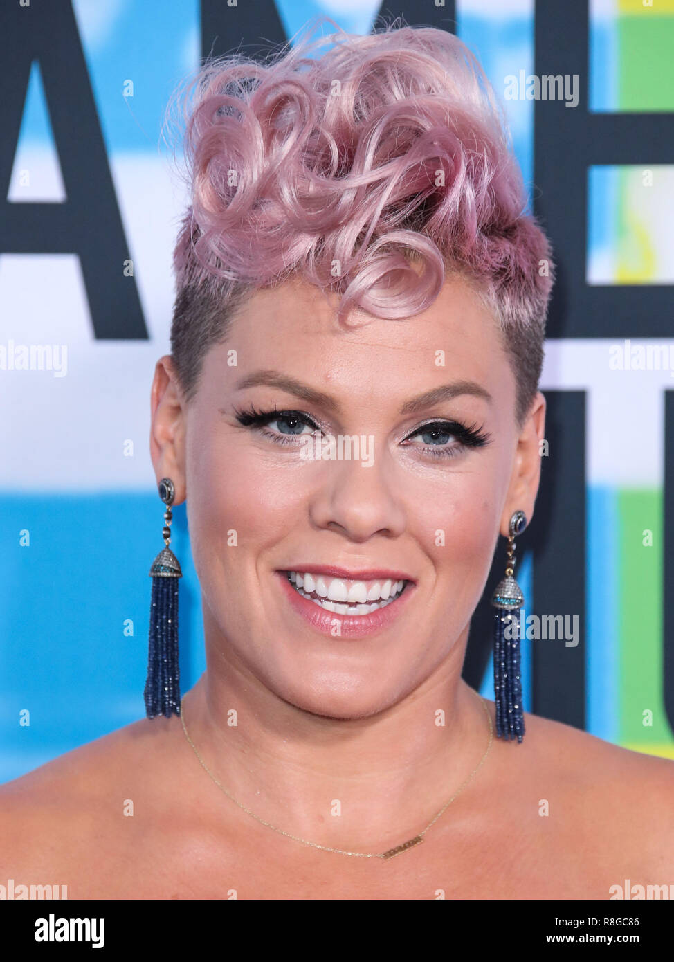 LOS ANGELES, CA, USA - NOVEMBER 19: Singer Pink (Alecia Beth Moore ...