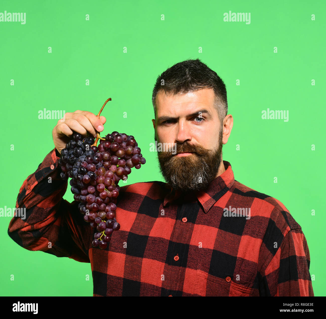 Viticulture and gardening concept. Winegrower with proud face presents ...