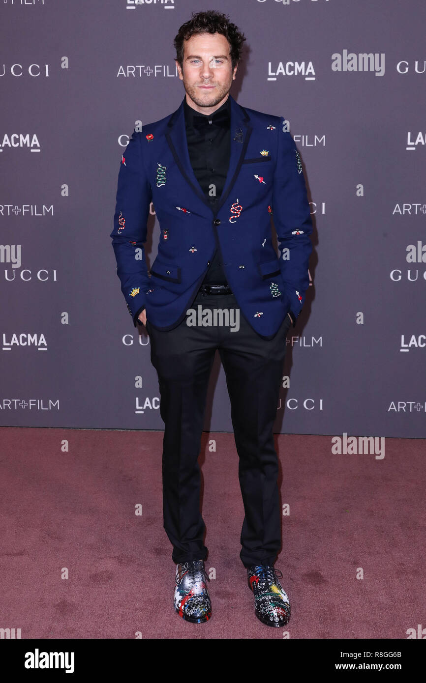 LOS ANGELES, CA, USA - NOVEMBER 04: Gregory Siff arrives at the 2017 ...
