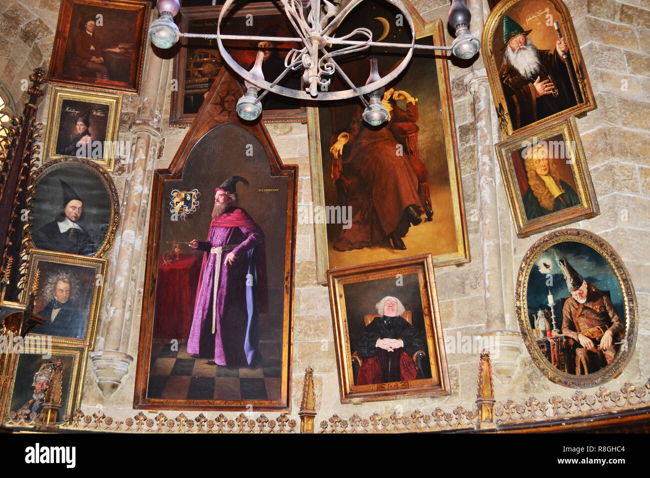 Dumbledores hi-res stock photography and images - Alamy