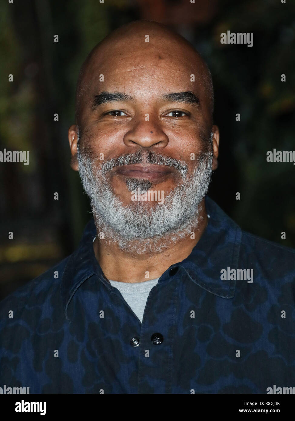 HOLLYWOOD, LOS ANGELES, CA, USA - DECEMBER 11: David Alan Grier at the ...
