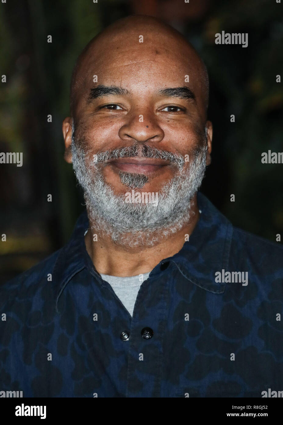 HOLLYWOOD, LOS ANGELES, CA, USA - DECEMBER 11: David Alan Grier at the ...