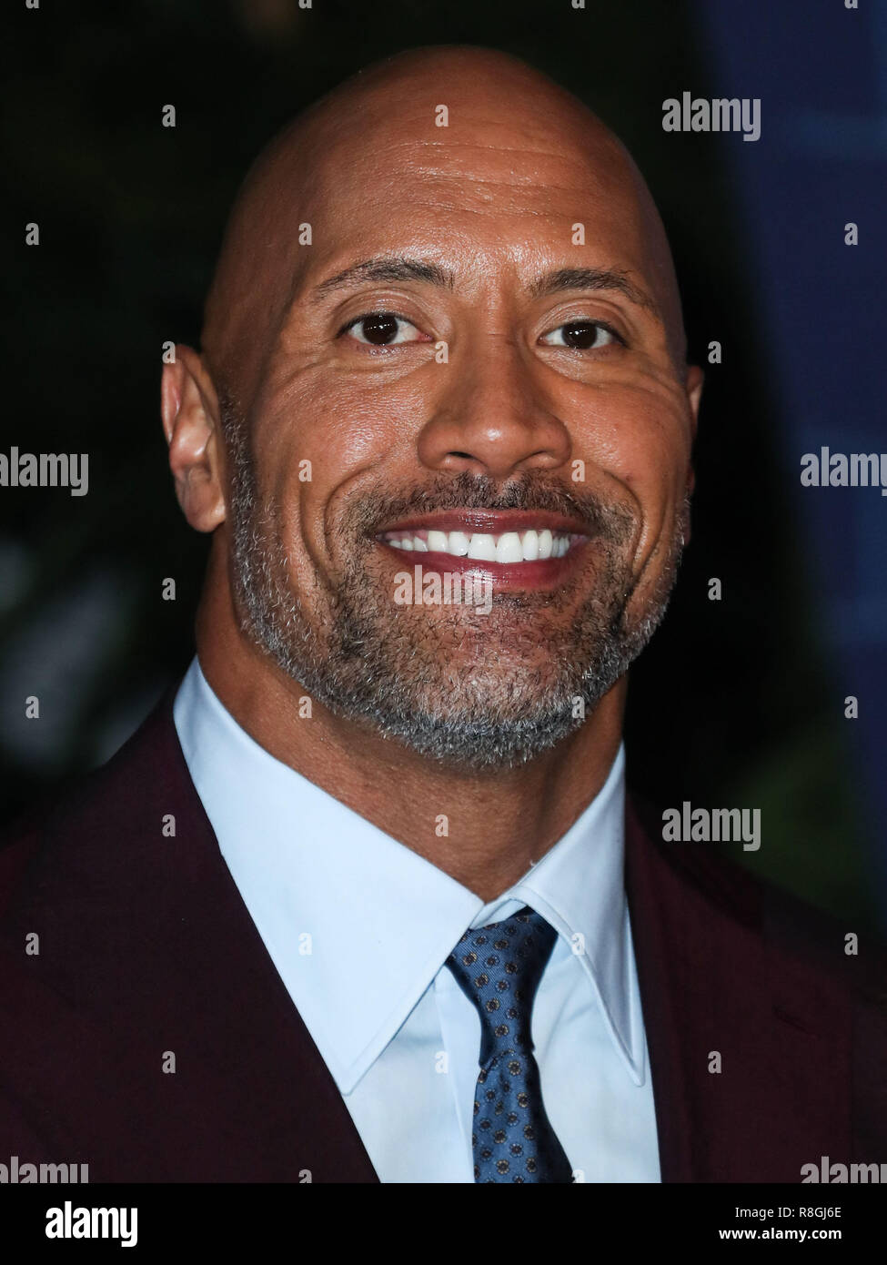 HOLLYWOOD, LOS ANGELES, CA, USA - DECEMBER 11: Dwayne Johnson, The Rock ...