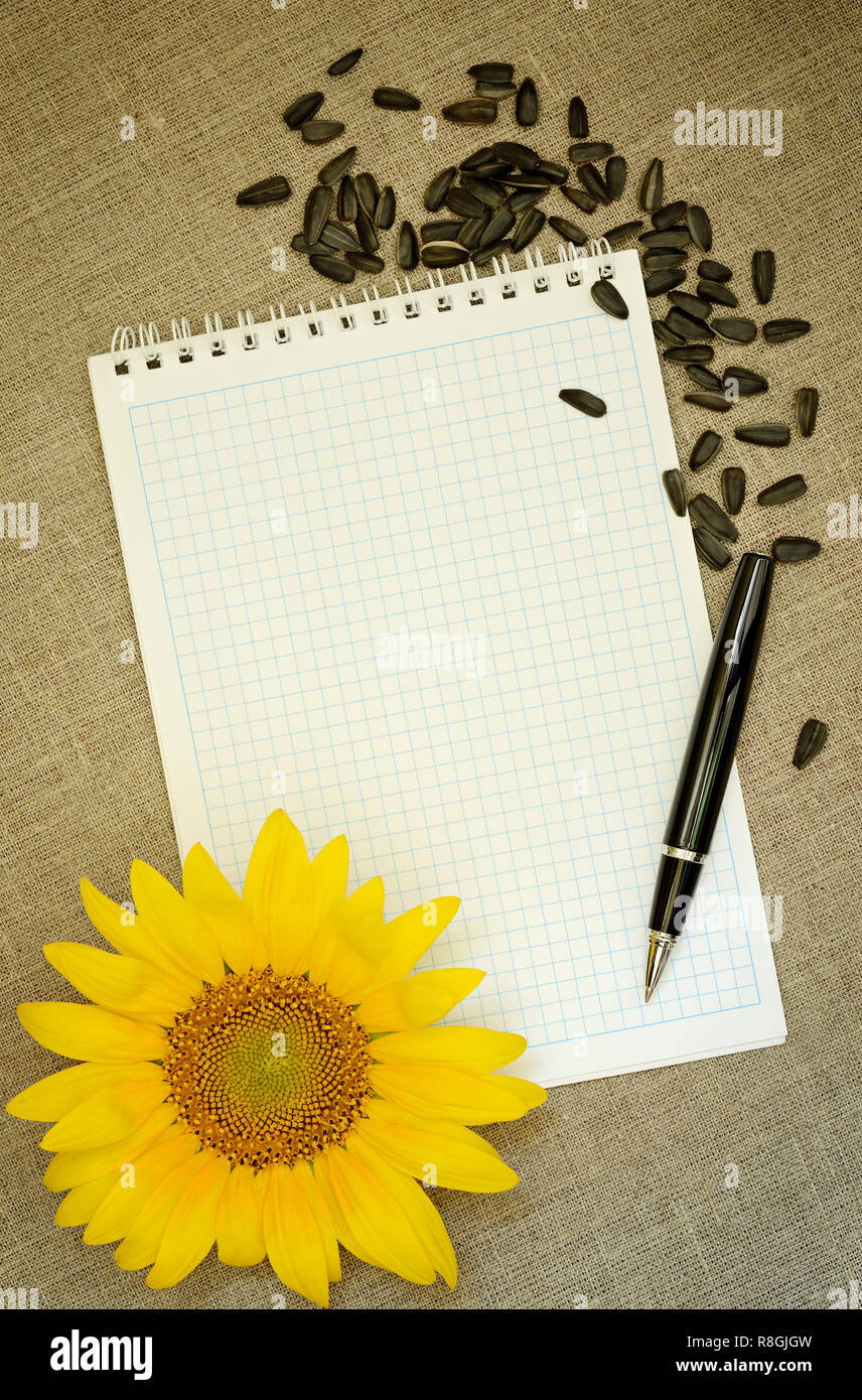 Sunflower frame line hi-res stock photography and images - Alamy