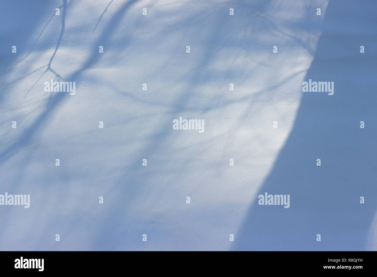 Snow with forest shadows background Stock Photo - Alamy