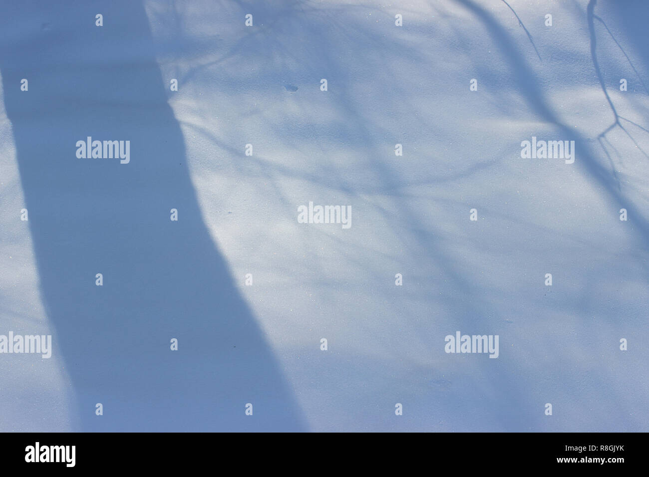 Snow with forest shadows background Stock Photo - Alamy