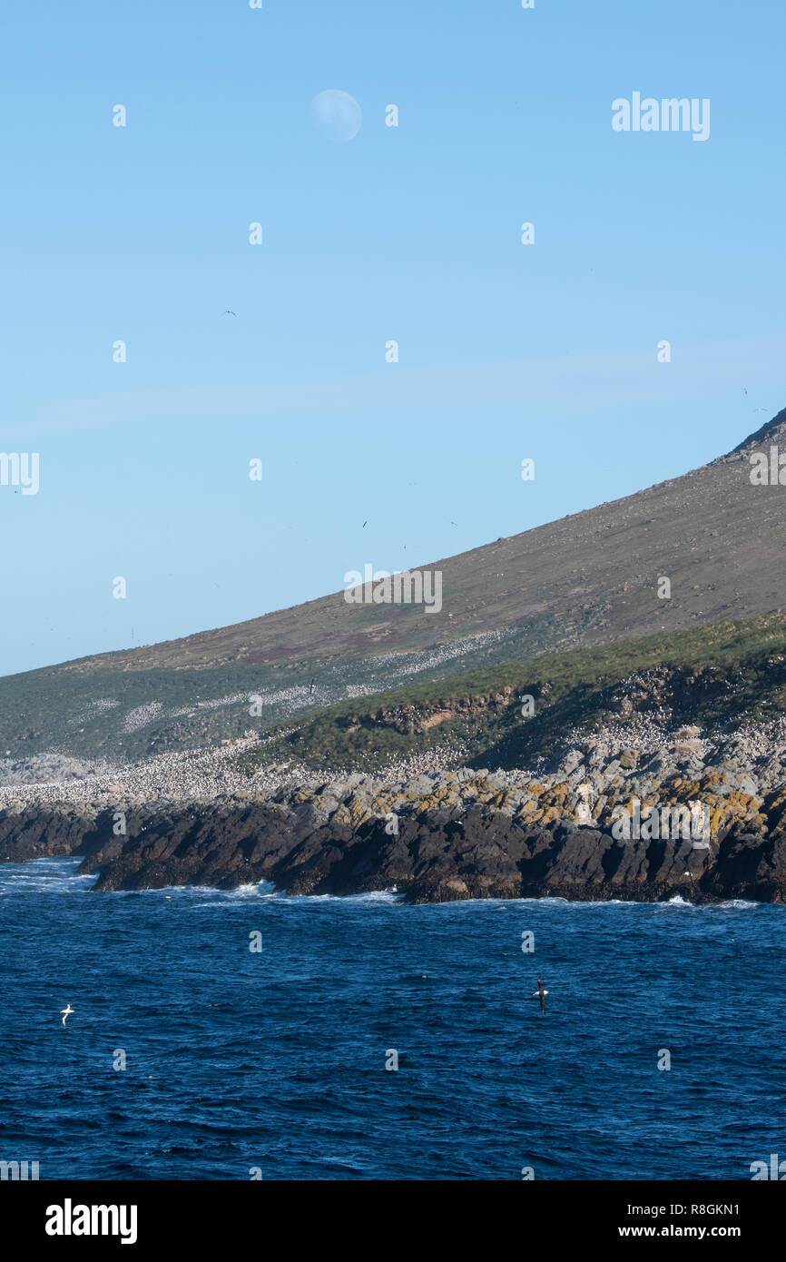 United Kingdom, Falkland Islands, West Falklands, Jason Islands ...