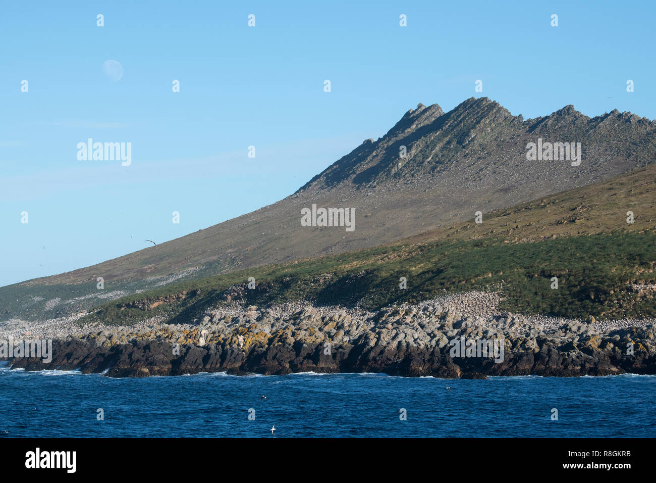 United Kingdom, Falkland Islands, West Falklands, Jason Islands ...