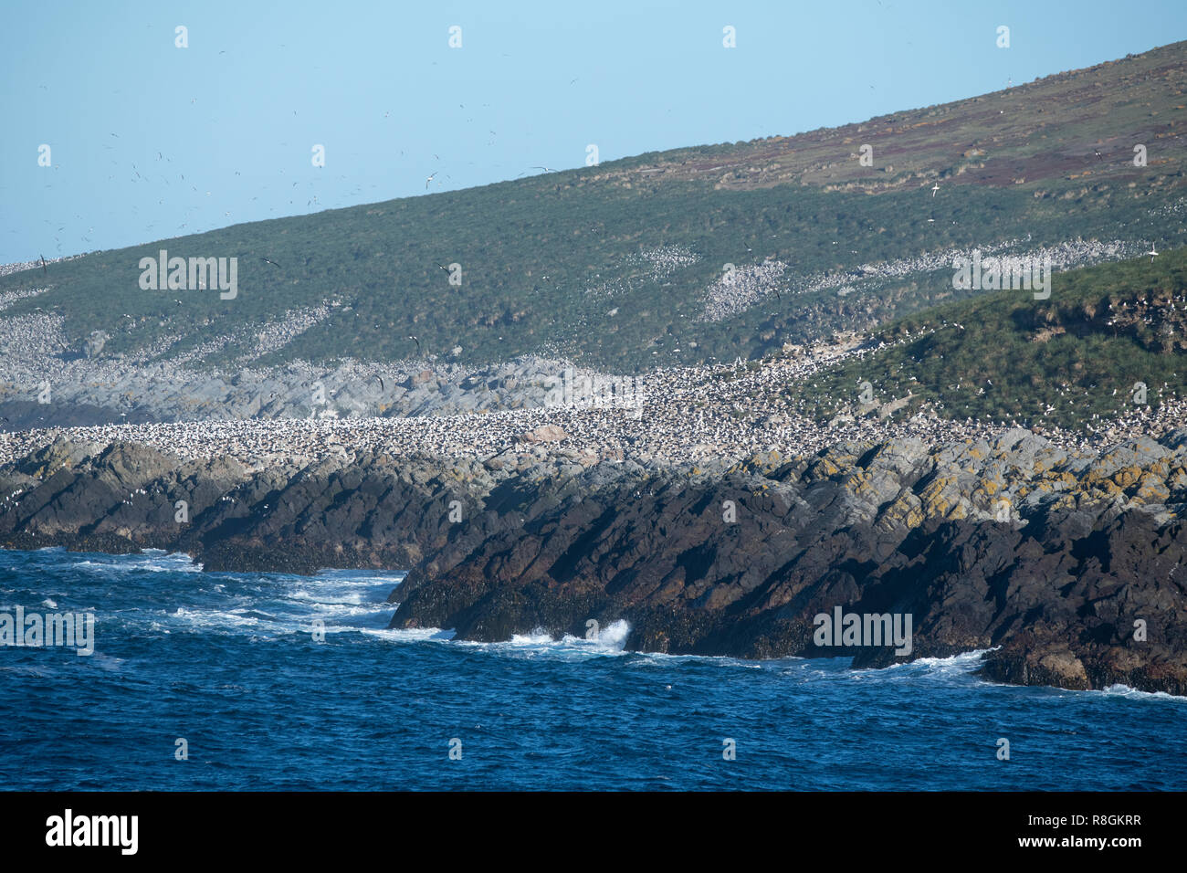 United Kingdom, Falkland Islands, West Falklands, Jason Islands ...
