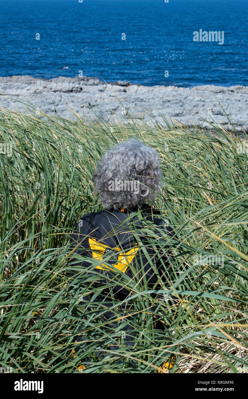 United Kingdom, Falkland Islands, West Falklands, Jason Islands ...