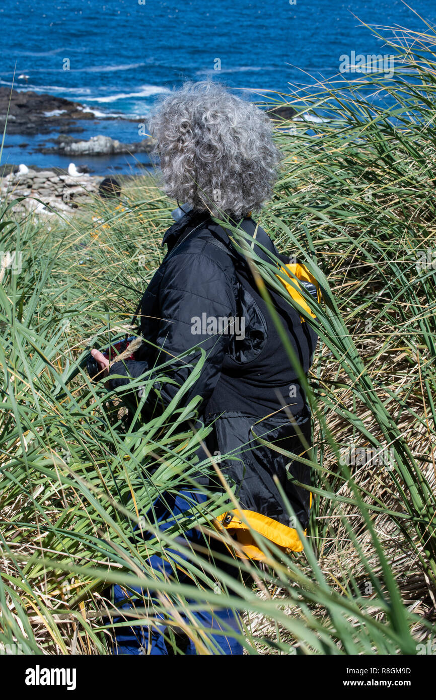 United Kingdom, Falkland Islands, West Falklands, Jason Islands ...