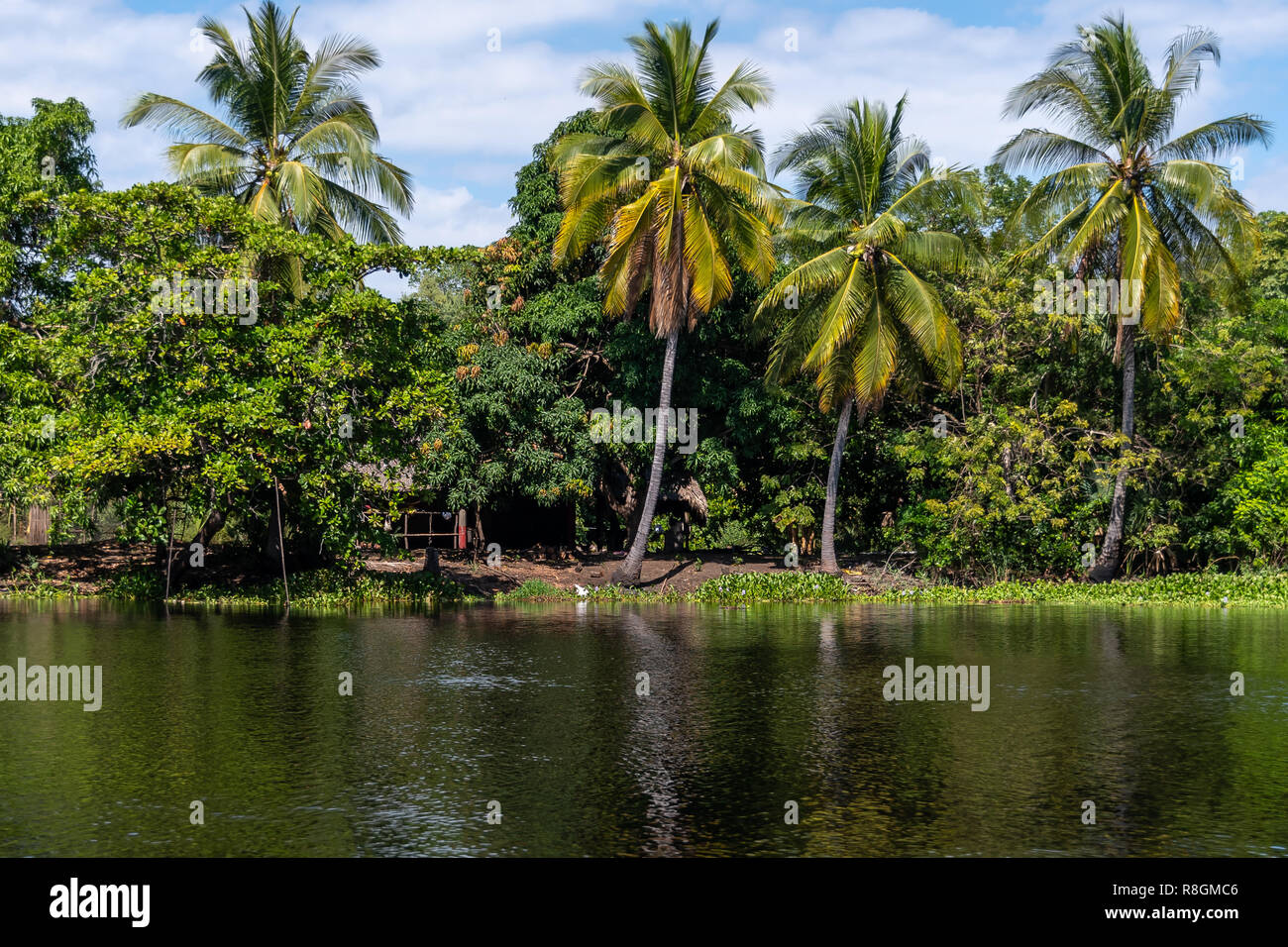 river in Guatemala Stock Photo - Alamy