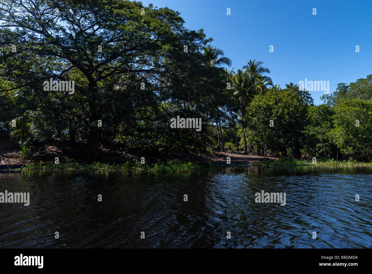 river in Guatemala Stock Photo - Alamy