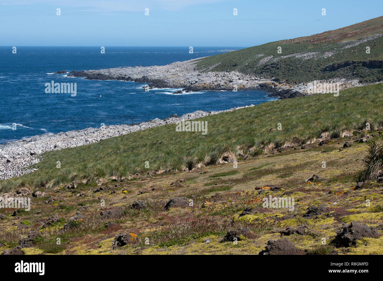 United Kingdom, Falkland Islands, West Falklands, Jason Islands ...
