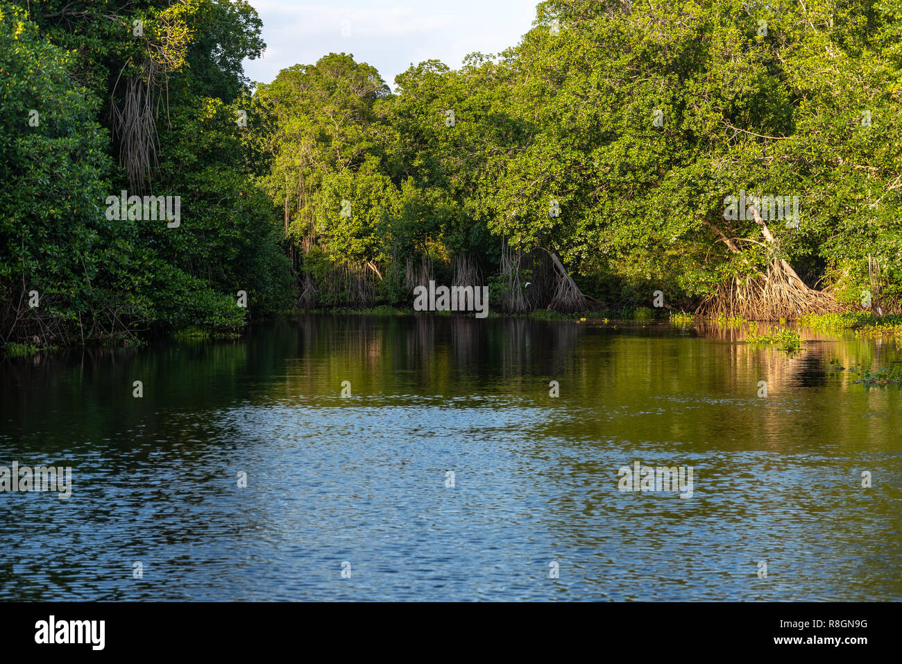 view of Guatemalan river Stock Photo - Alamy