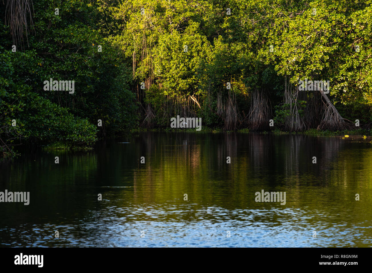 view of Guatemalan river Stock Photo - Alamy