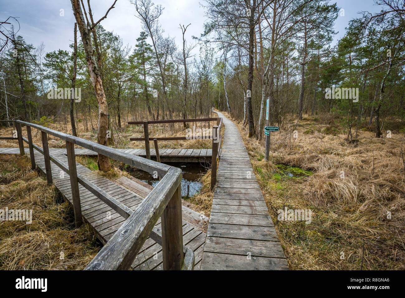 Wanderung durch das Ibmer Moor, Oberösterreich Stock Photo - Alamy