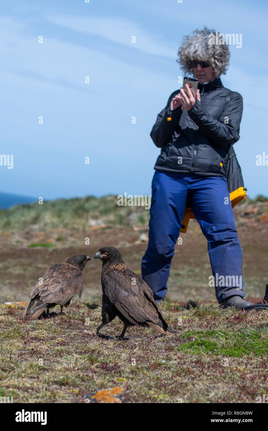 United Kingdom, Falkland Islands, West Falklands, Jason Islands ...