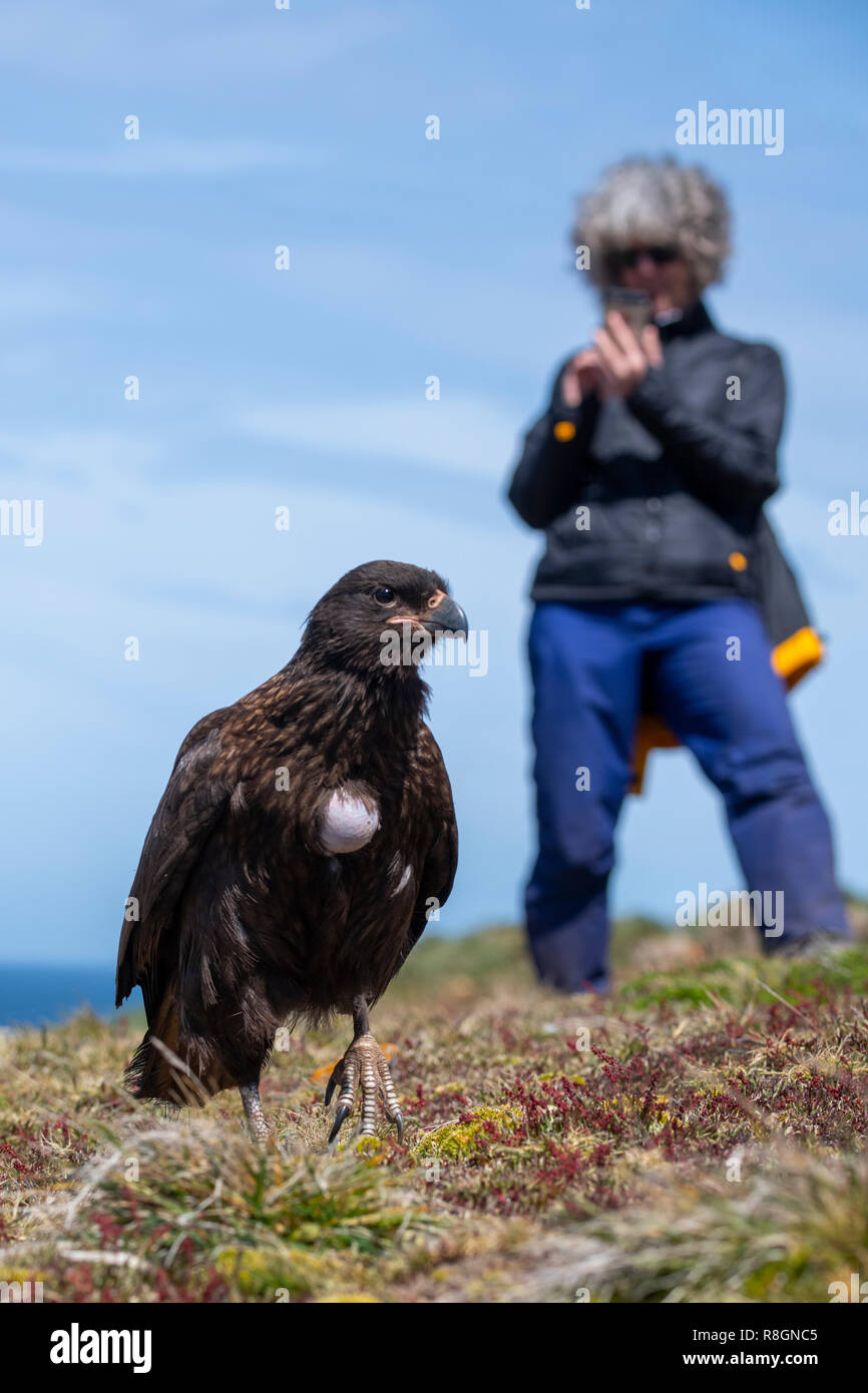 Johnny kingdom wildlife hi-res stock photography and images - Alamy