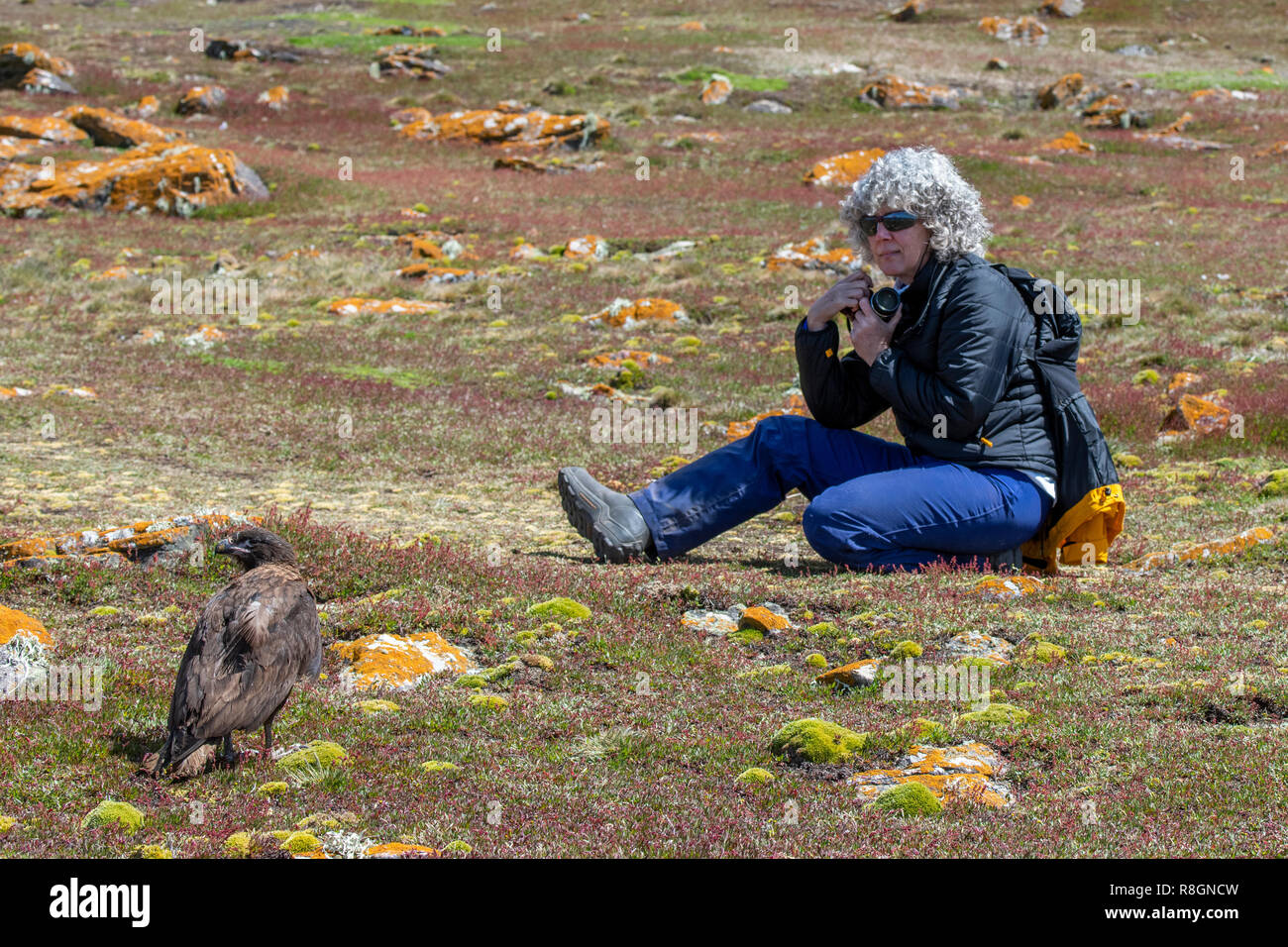 United Kingdom, Falkland Islands, West Falklands, Jason Islands ...