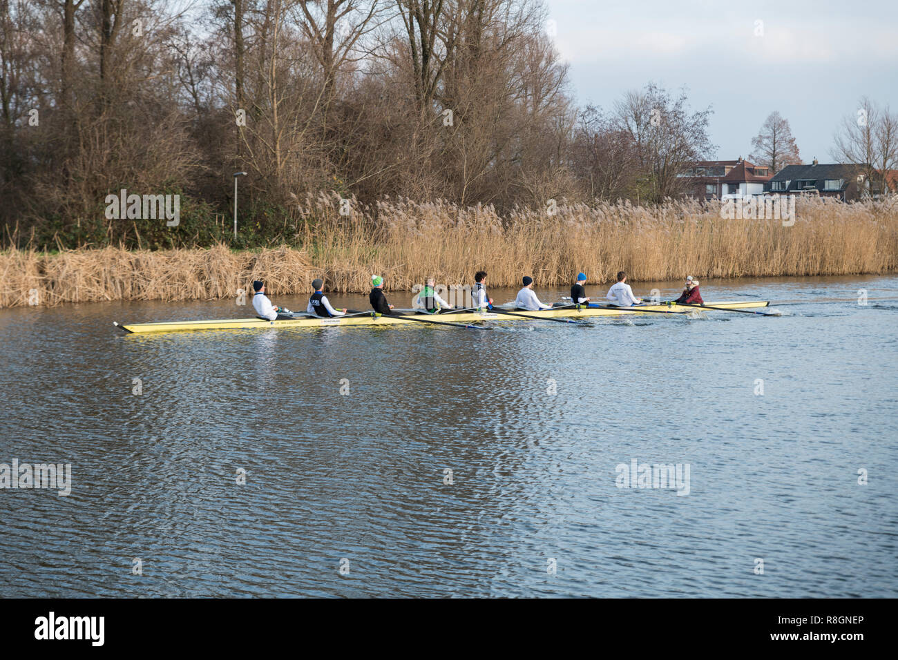 Rotterdam,Holland,15-dec-2018:eight with mate rowing in a boat over the ...