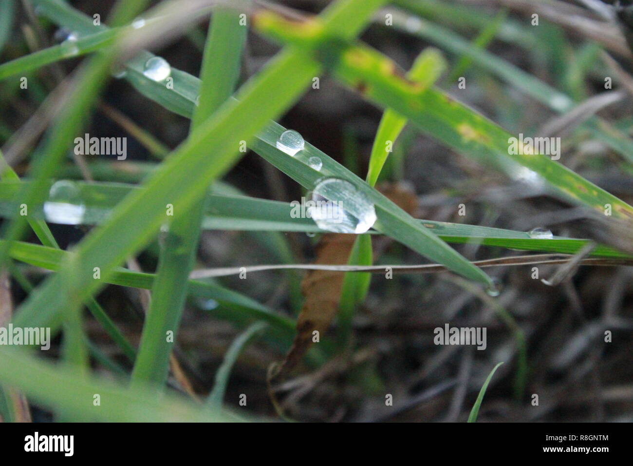 Colori di luce hi-res stock photography and images - Alamy